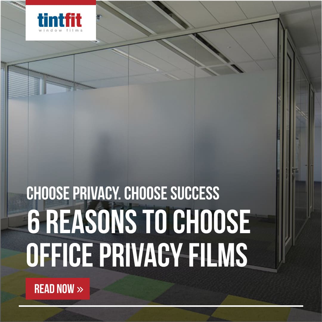 Six Reasons to Choose Office Privacy Films - Tintfit Window Films